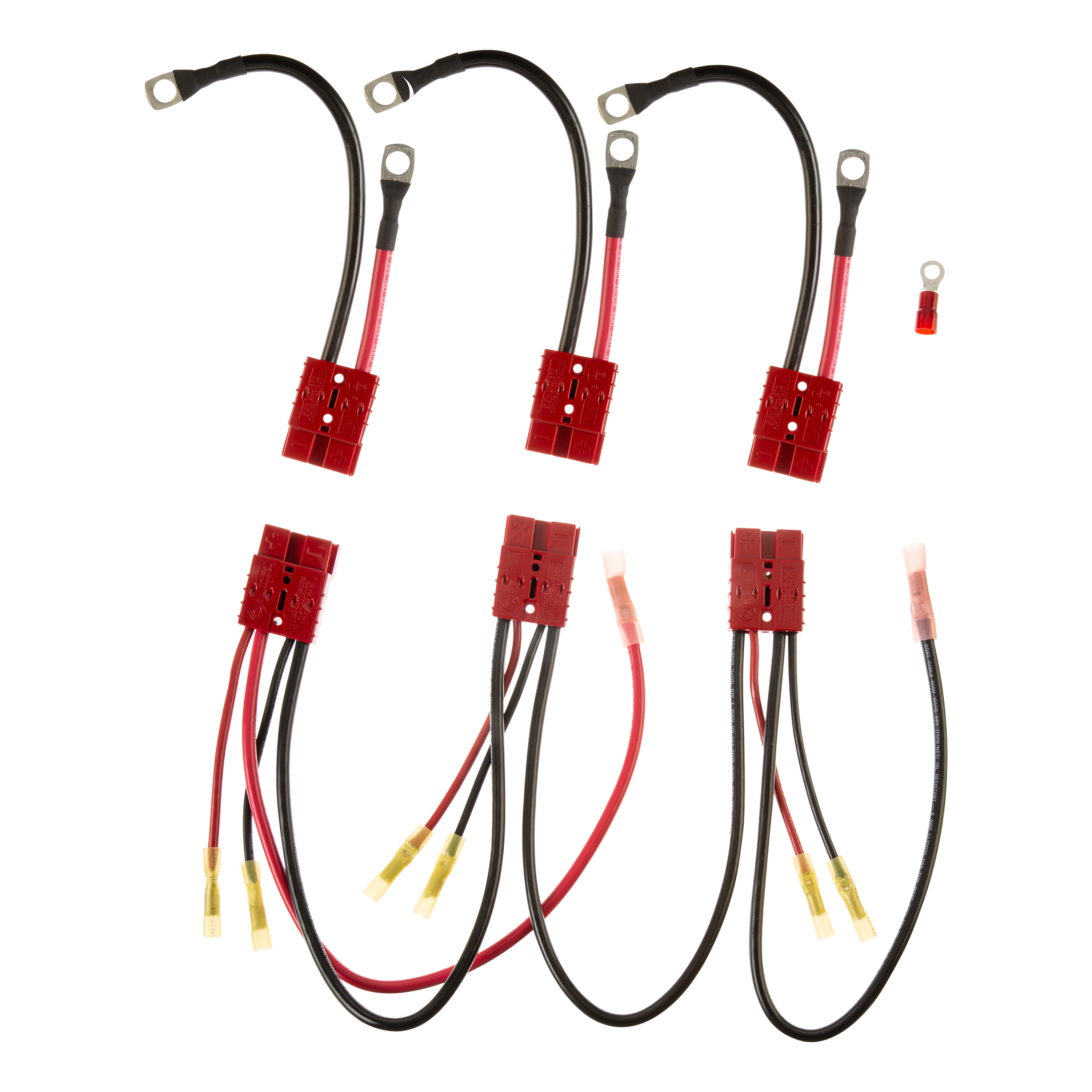 Connect-Ease 36V Trolling Motor Connection Kit with Onboard Charging | Bass Pro Shops
